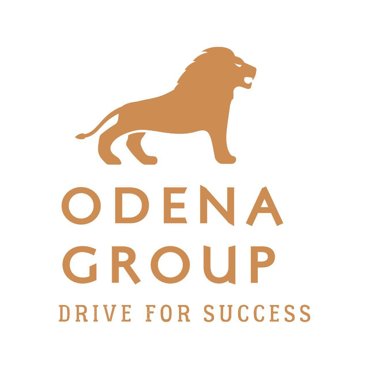 ODENA GROUP — Оказание услуг по юридическому и финансовому обслуживанию.